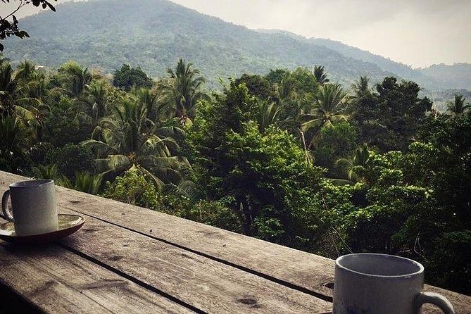 Private trip around Koh Phangan - Final Word