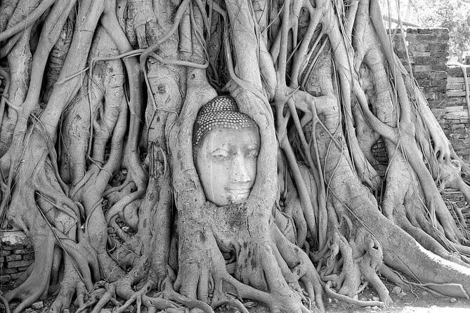 Private Trip : Ayutthaya historical venture, boat ride & lunch - Who Will Love This Tour?