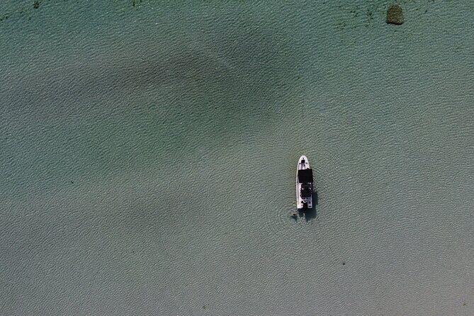 Private Trip Espiritu Santo Island - The Boat and Guides