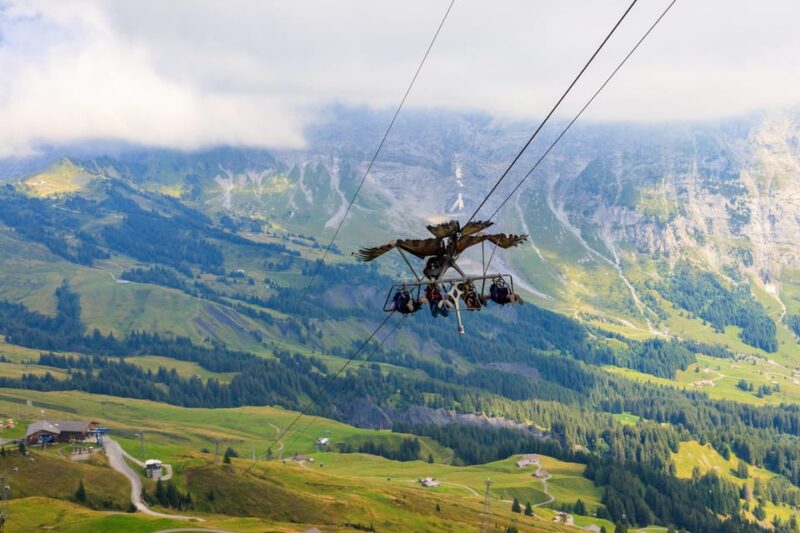 Private Trip From Zurich to Grindelwald & Interlaken - Transportation