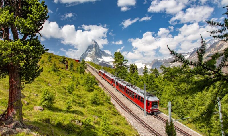 Private Trip From Zurich to Grindelwald & Interlaken - Inclusions and Exclusions