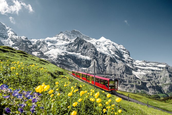 Private trip from Zurich to Jungfraujoch (The Top of Europe) - Analyzing the Cost and Value