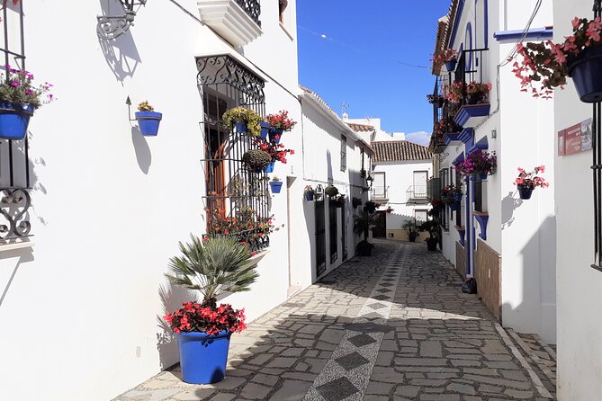 Private Trip in Gibraltar and Estepona from Marbella - Final Reflections