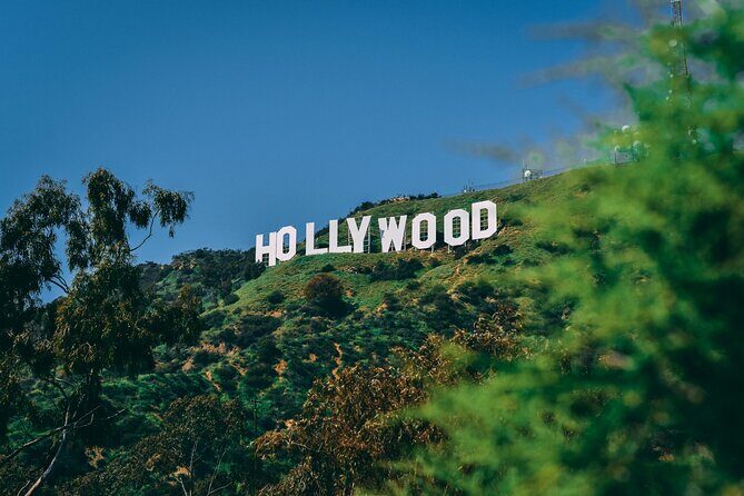 Private Trip Los Angeles, Beverly Hills, Hollywood From Anaheim - In-Depth Look at the Tour Experience