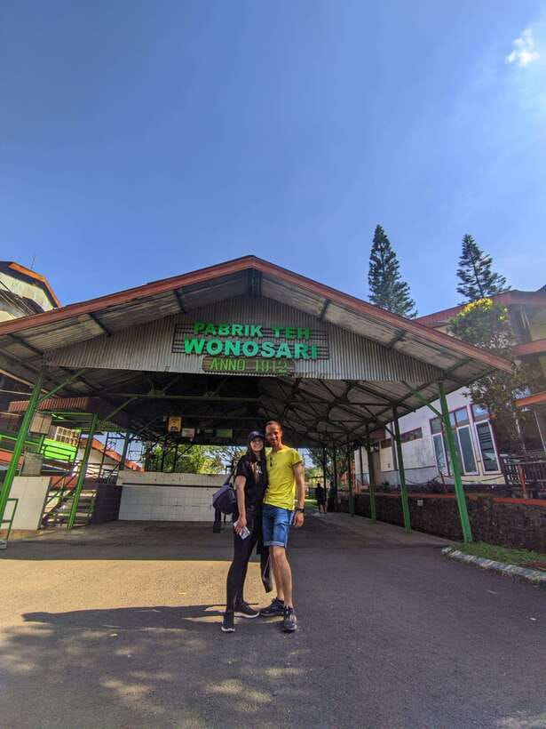Private Trip Malang/Surabaya : Tour Tea Plantation Wonosari - Key Points