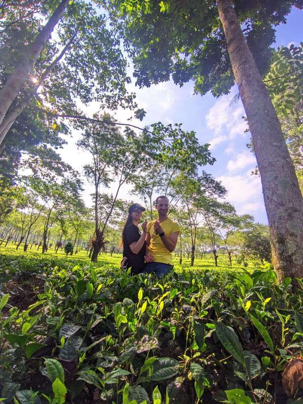 Private Trip Malang/Surabaya : Tour Tea Plantation Wonosari - What’s Included and What’s Not