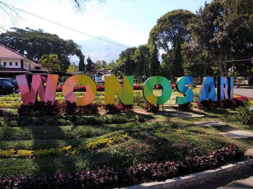 Private Trip Malang/Surabaya : Tour Tea Plantation Wonosari - Transportation, Timing, and Group Size