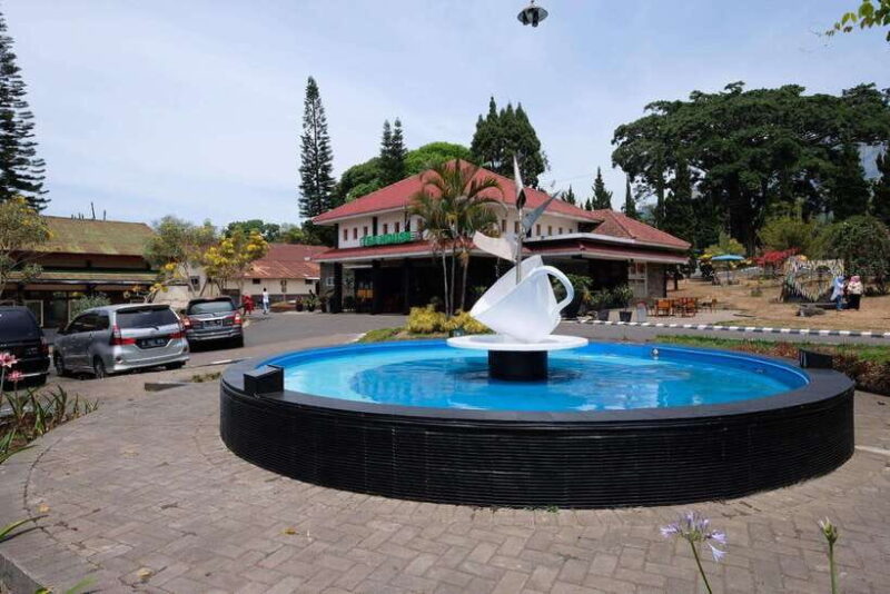 Private Trip Malang/Surabaya : Tour Tea Plantation Wonosari - The Sum Up