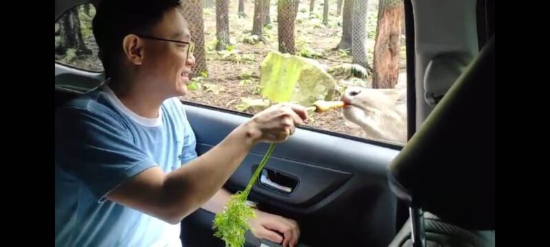 Private Trip Safari Park Fr Surabaya/Malang (All inclusive) - Pricing and Value