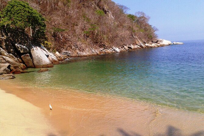 Private trip: snorkeling at Los Arcos & Colomitos beach - FAQs