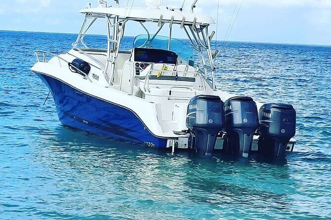 Private Trip to Cayo Icacos Island - The Sum Up