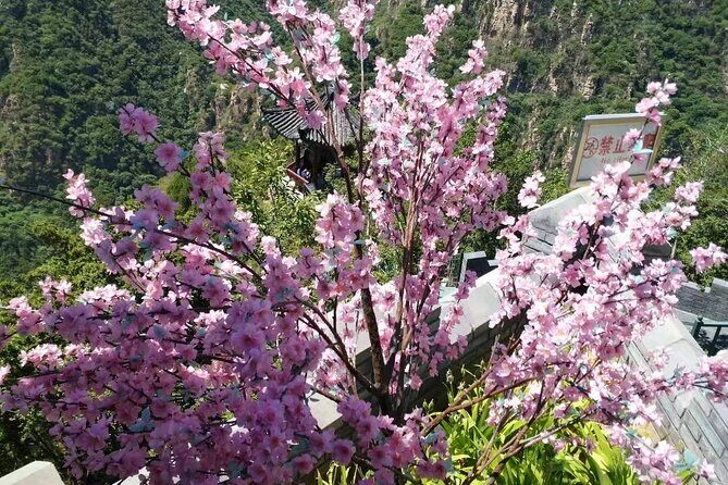 Private Trip to Shilingxia Glass Platform with English Speaking Driver - What Travelers Say