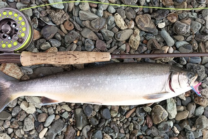 Private Trout and Char Fishing in Icelandic Serenity Experience - Practical Details: What You Need to Know