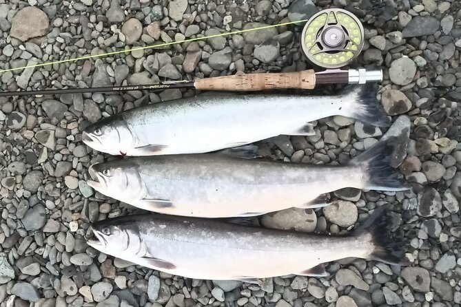 Private Trout and Char Fishing in Icelandic Serenity Experience - The Sum Up