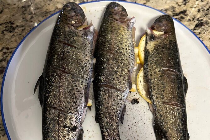 Private Trout Fishing Excursion in Virginia - A detailed look at the Private Trout Fishing Excursion in Virginia