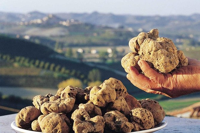 Private Truffle Hunt in Tuscany - Who Will Love This Tour?