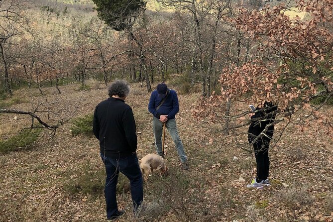 Private Truffle Hunt in Tuscany - The Sum Up: Is the Private Truffle Hunt in Tuscany Worth It?