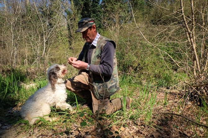 Private Truffle Hunting in Chianti - Practical Considerations and Value
