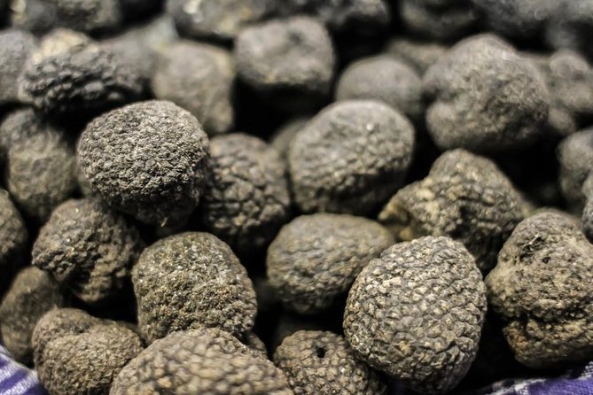 Private Truffle Hunting in Chianti - Who Should Consider This Tour?