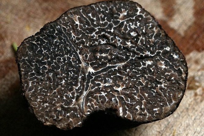 Private Truffle Hunting in Chianti - Frequently Asked Questions