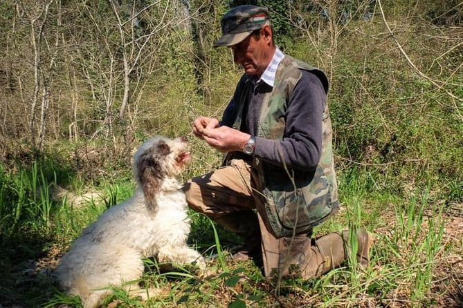 Private Truffle Hunting in Chianti from Florence - Exploring the Charm of Private Truffle Hunting in Chianti from Florence
