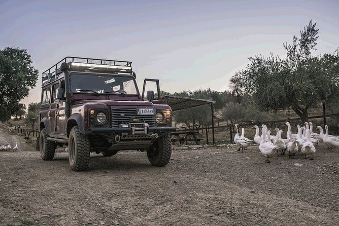 Private Truffle Hunting in Chianti from Florence - FAQs