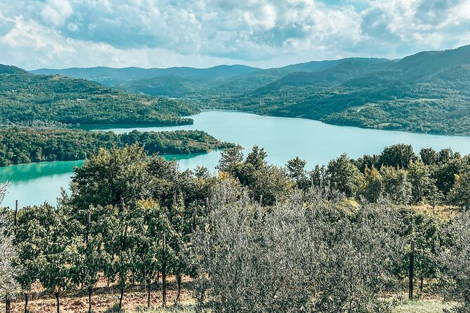 Private Truffle Hunting With Cooking Session - Key Points