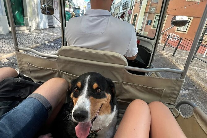Private Tuk-Tuk All Lisbon Tour 3h - Experience Highlights