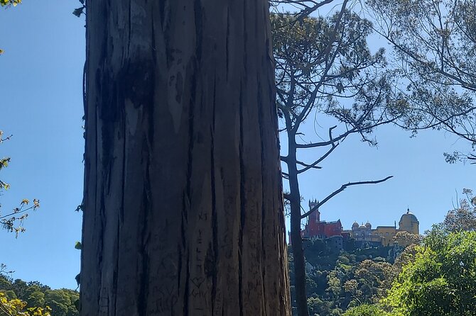 Private Tuk Tuk Tour around Magical Sintra and Coastline - Practical Details