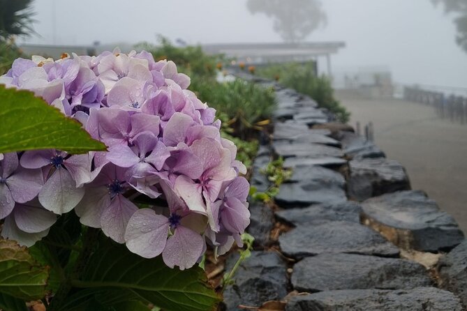 Private Tuk Tuk Tour in Nuns Valley - Why This Tour Appeals to Different Travelers