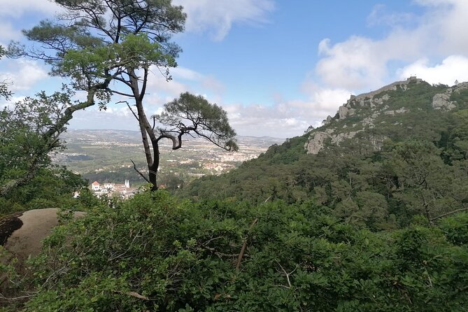 Private Tuk Tuk Tour Through Serra De Sintra - Exploring the Serra De Sintra