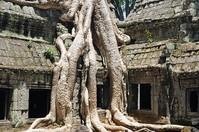 Private Tuk Tuk Tour to Angkor Wat and Small Circle with Two Extras - A Deep Dive into the Tour Experience