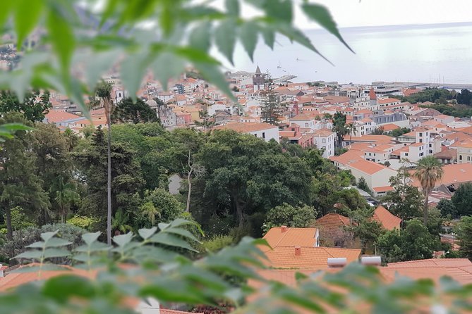 Private Tuk Tuk Tour to Old Town + Monte in Funchal - Guided Experiences