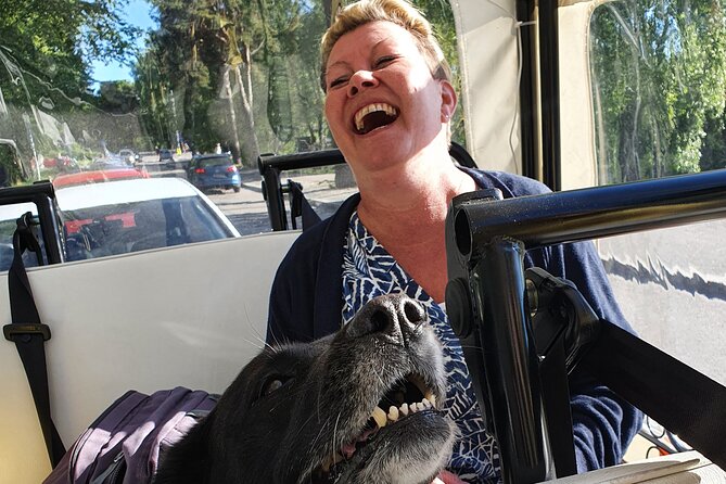 Private Tuktuk Guided Tour in Helsinki 2,5 Hrs - Exploring Helsinkis Top Attractions