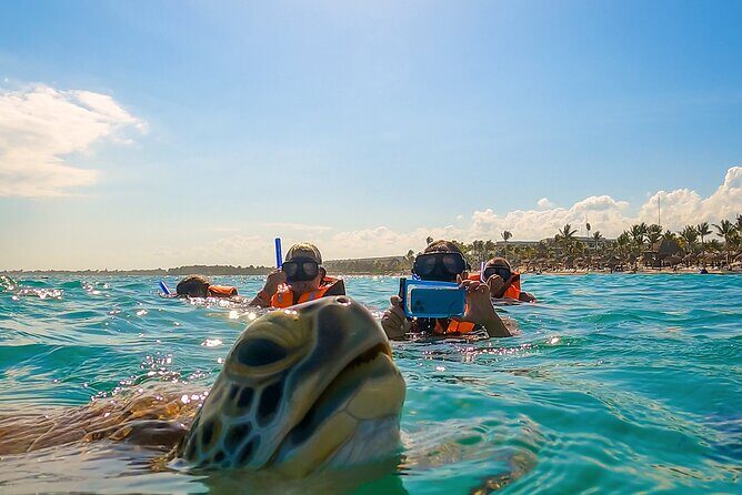 Private Tulum Akumal Cenotes Experience - Final Thoughts: Who Will Love This Tour?