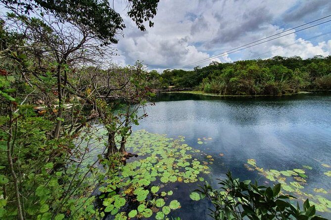 Private - Tulum Ruins and 3 Cenotes Jungle Adventure - The Sum Up: Who Is This Tour Best For?
