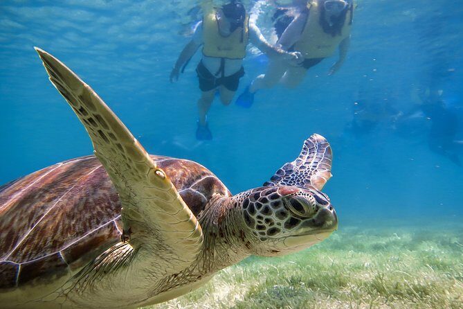 Private Tulum Ruins, Turtles in Akumal and Cenote Adventure - Exploring the Tulum Archaeological Site