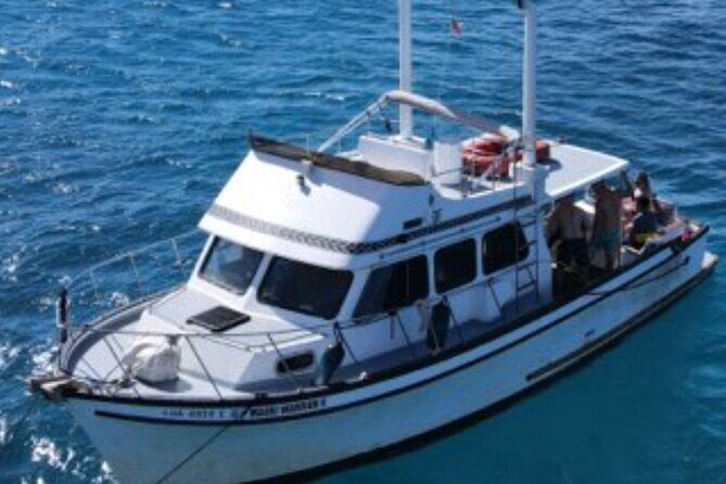 Private Turtle Canyon Snorkel Tour - Up to 6 Passengers - FAQs