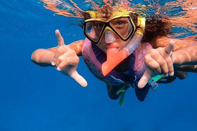 Private Turtle Spotting Snorkeling Excursion in Aruba - The Guide’s Role: More Than Just Leading