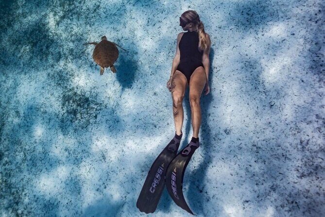 Private Turtle Spotting Snorkeling Excursion in Aruba - The Environment and Conservation
