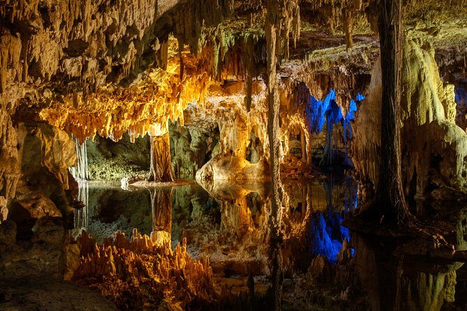 Private Turtles & Cenotes Adventure - Practical Details & Value
