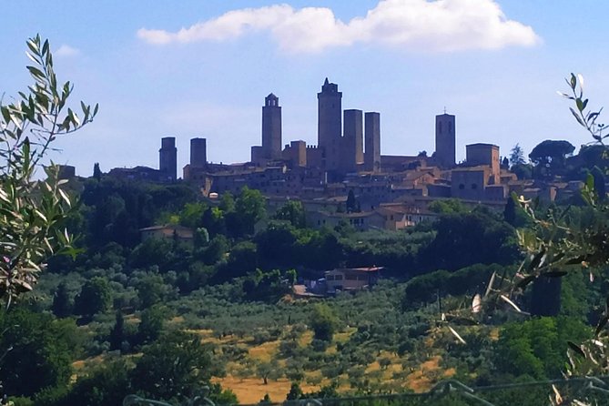 Private Tuscan Cooking Class and Wine Tasting in Radda in Chianti With Giorgia - Reviews and Highlights