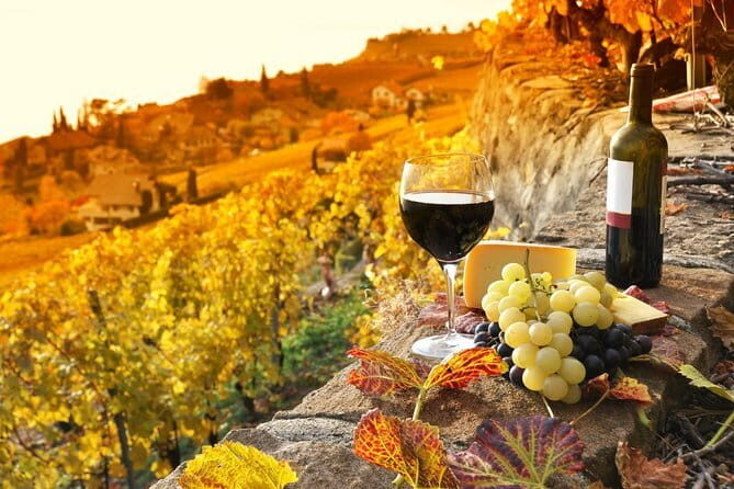 Private Tuscan Dinner Half Day from Florence - The Pickup and Drive