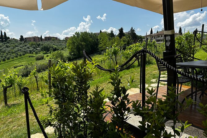 Private Tuscan Lunch with Wine & Evo oil tasting in the Vineyard - What Makes This Tour Stand Out?