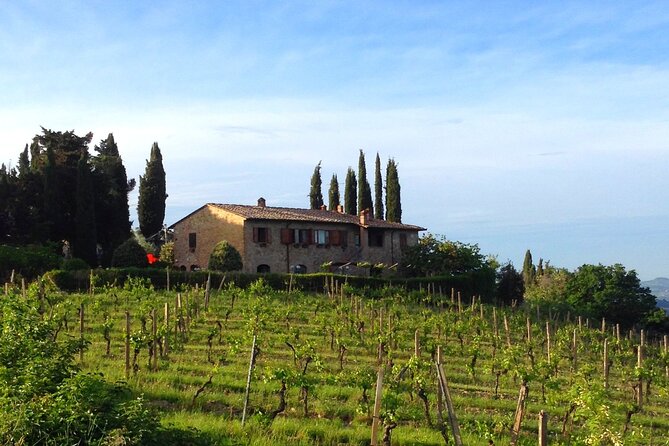 Private Tuscan Meal With Wine and EVO Oil Tasting - Location and Meeting Point