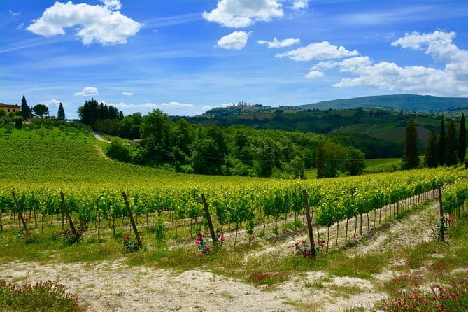 Private Tuscany Day Tour: San Gimignano and Chianti Wine Region from Florence - FAQ
