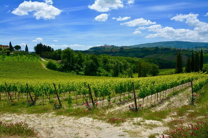 Private Tuscany Day Tour: San Gimignano and Chianti Wine Region from Florence - The Reviews Speak for Themselves