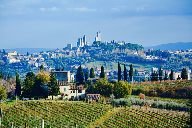 Private Tuscany Day Tour: San Gimignano and Chianti Wine Region From Florence - Traveler Experiences
