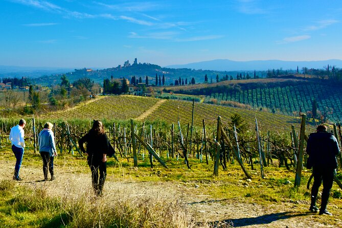 Private Tuscany Day Tour: San Gimignano and Chianti Wine Region From Florence - Pricing and Booking