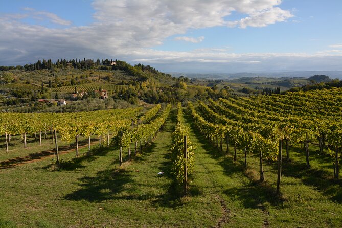 Private Tuscany Day Tour: San Gimignano and Chianti Wine Region From Florence - Frequently Asked Questions